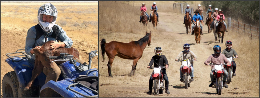 Farm Work Australia - Working holiday with ranch jobs